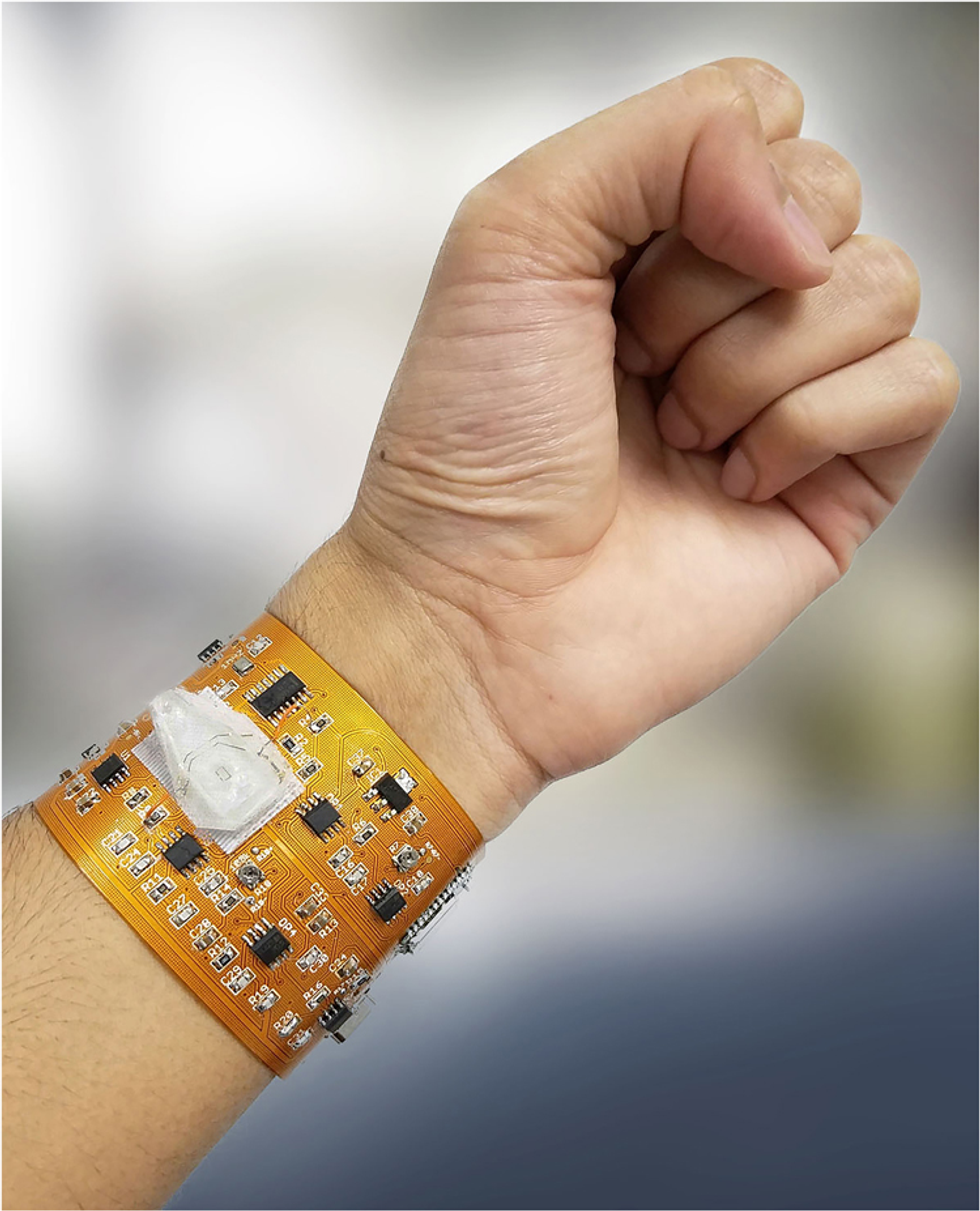 Rutgers new lab on a chip reads your blood from your wrist - Gearbrain