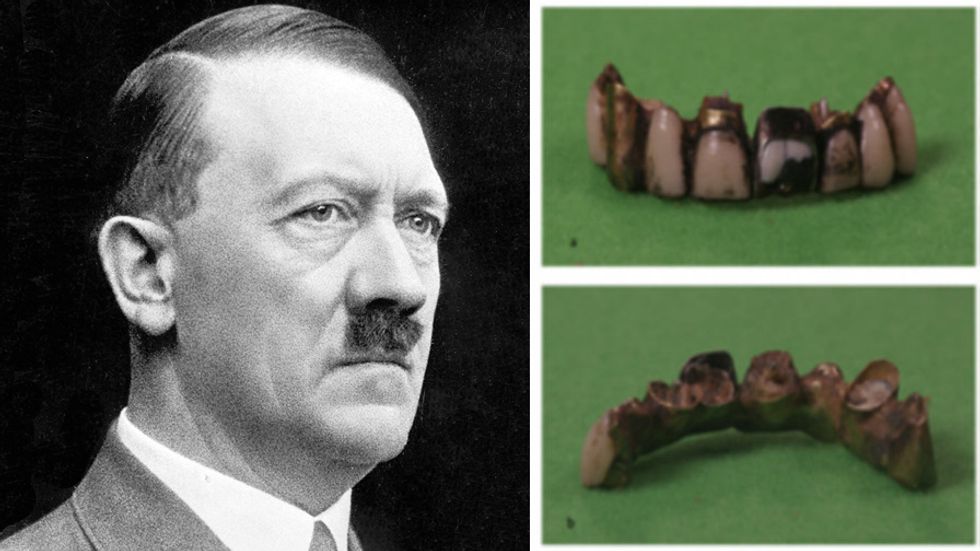 Forensic study of Hitler’s teeth debunks conspiracy theories about his ...