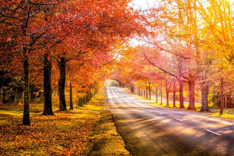 things to do in the fall