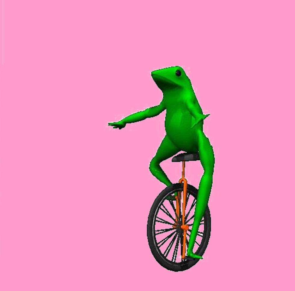 The 15 Memes That Made 2016 Bearable - NYLON
