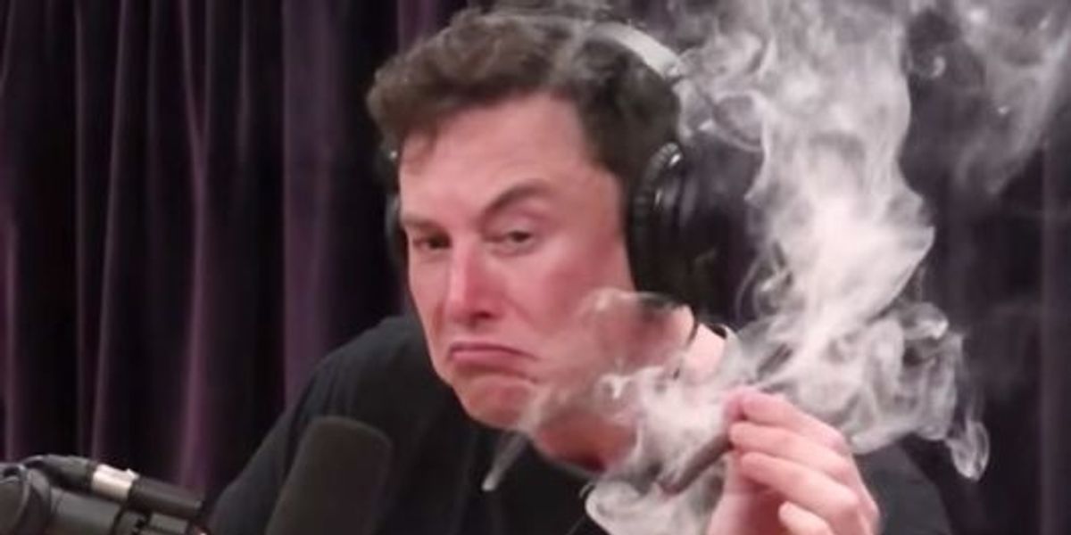 Tesla CEO Elon Musk Smokes Joint in Interview, Becomes Meme - PAPER Tesla CEO Elon Musk Smokes Joint in Interview, Becomes Meme - PAPER