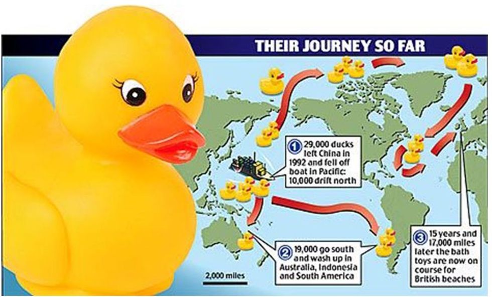 The Plastic Duck Armada and its Accidental World Journey - Big Think