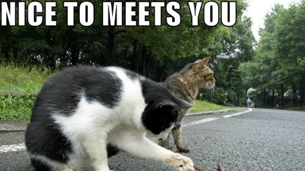 The Philology of LOLCats - Big Think