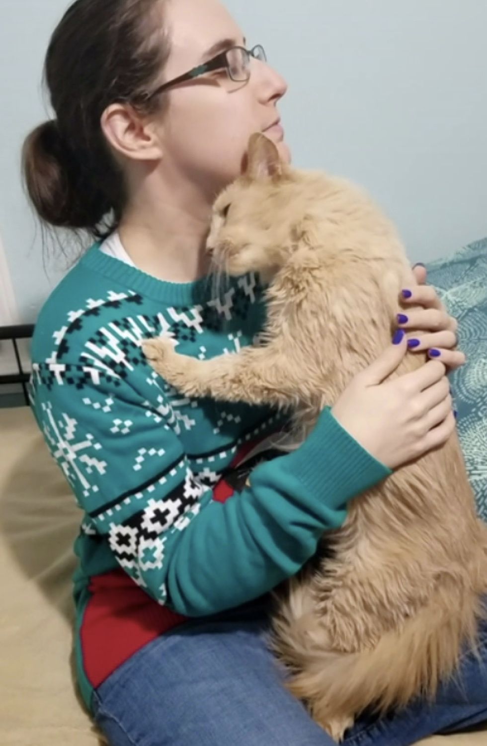 Couple Saves Cat from Shelter, the Kitty Holds onto Them and Won't Let ...