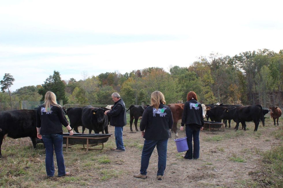 Growing Up On A Farm