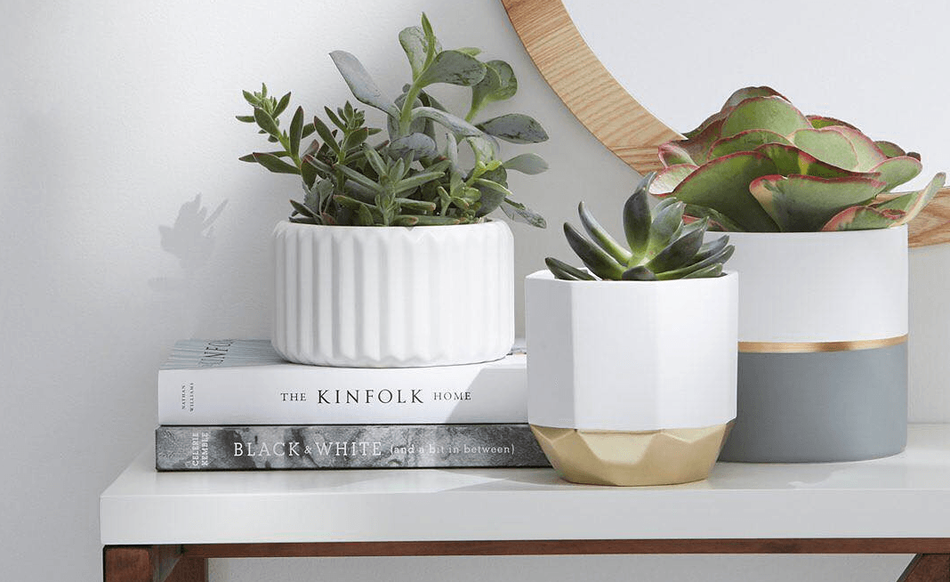 19 Adorable Amazon Products That Every Basic College Girl Will NEED In ...