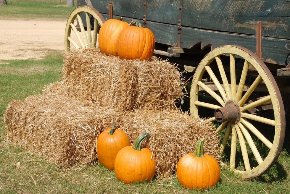 5 Fun Fall Traditions