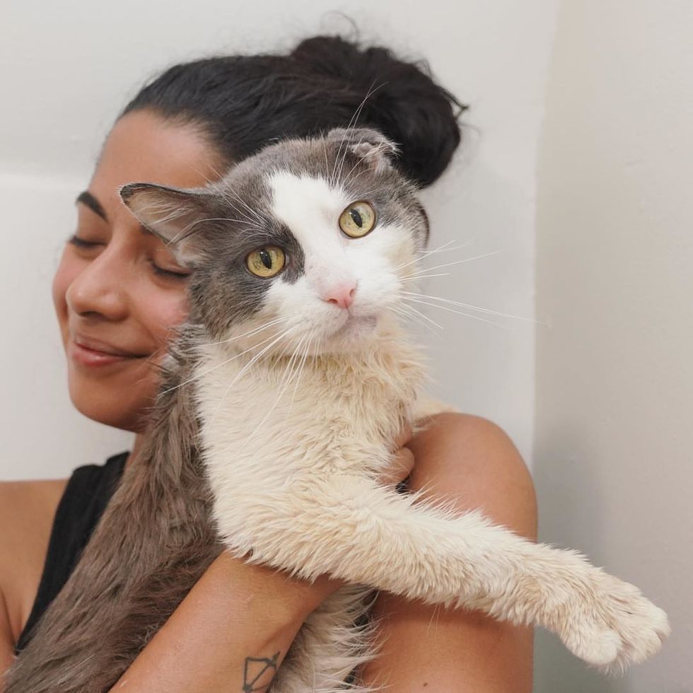 Scraggly Street Cat Walks into Carrier for Help and Can't Stop Cuddling ...