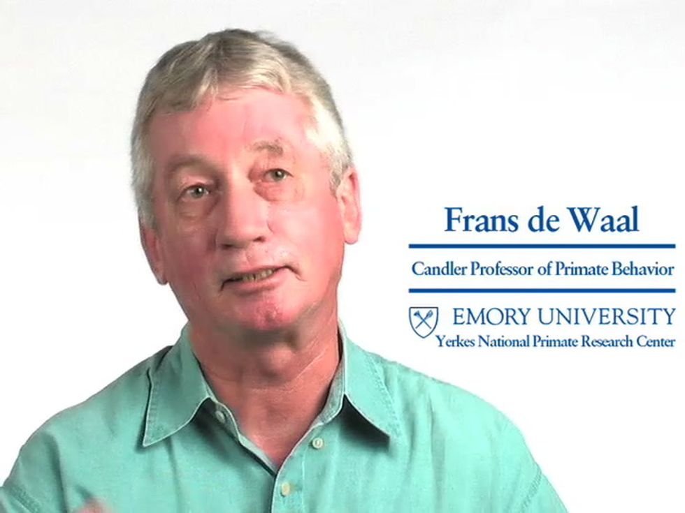 Frans De Waal Says Primates Can Teach Us A Great Deal About The Origins ...