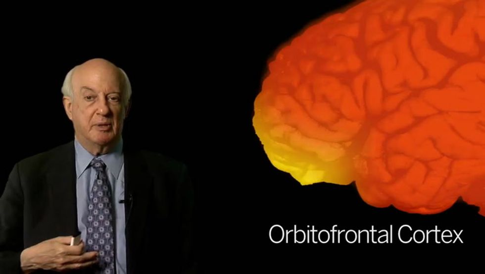 The Neurobiology of Evil - Big Think