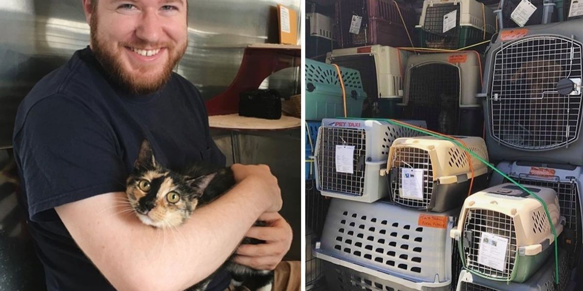 Rescuers Save 15 Cats and 21 Dogs From Shelter Threatened by Hurricane ...