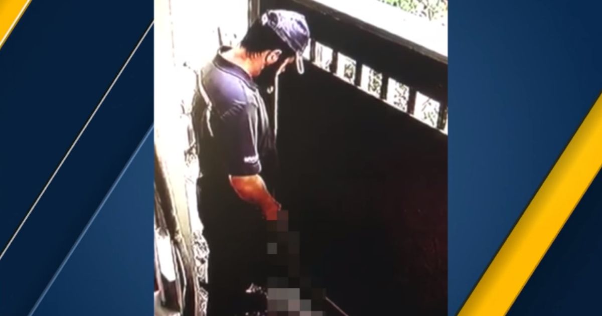 Amazon Delivery Man Caught On Camera Urinating Near Homes Front Door