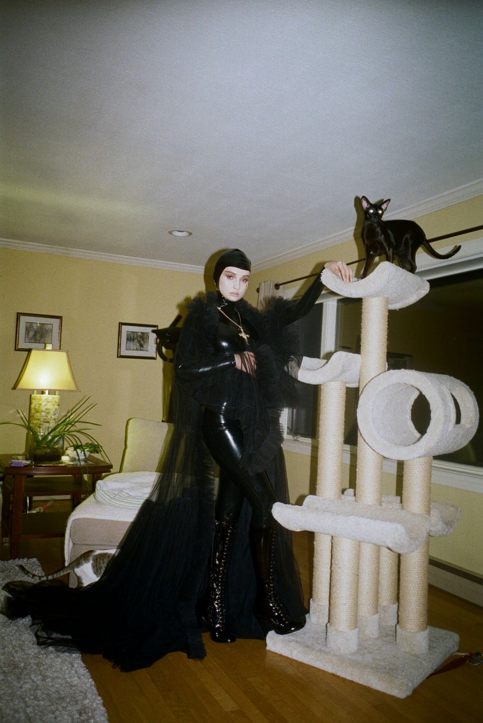 Boo Ah! Kim Petras Gets Spooky With Halloween Icon Elvira - PAPER Magazine