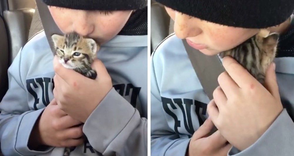 10-year-old Boy Calms Crying Abandoned Kitten and Finds Her a New Cat ...