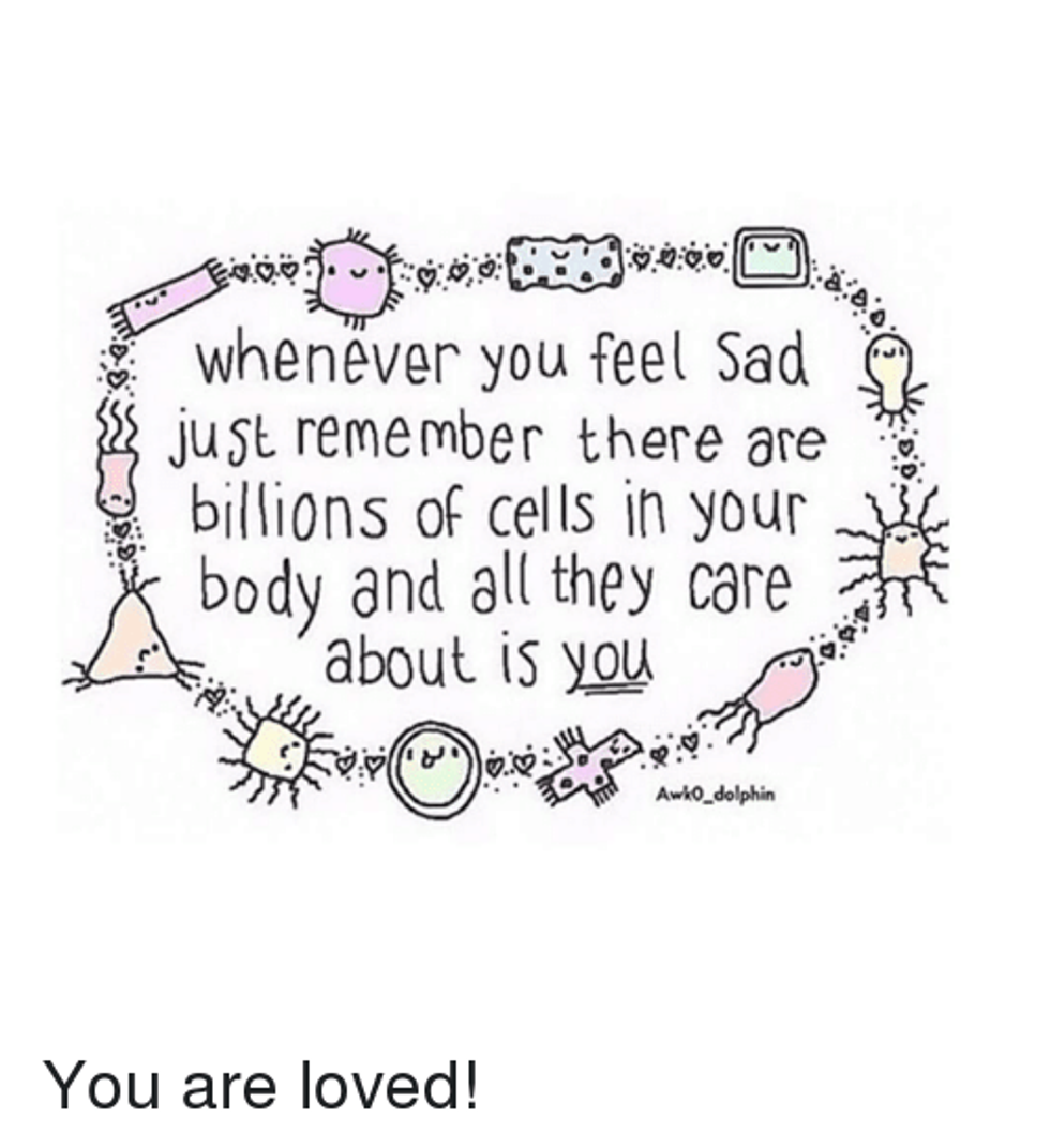 10 Inspirational Quotes To Get You Through The Mid-Semester Blues