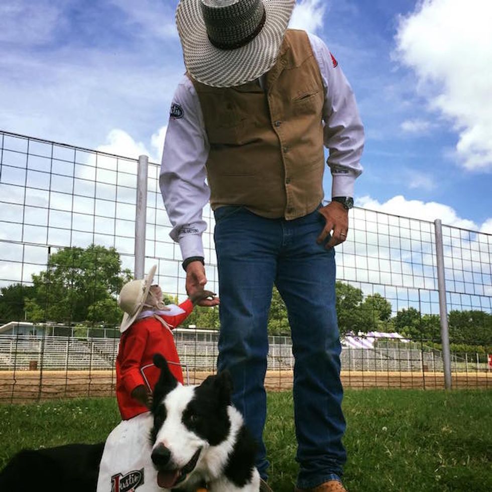 Yes, That is a 'Cowboy Monkey' Riding a Dog and Herding Sheep - TheBlaze
