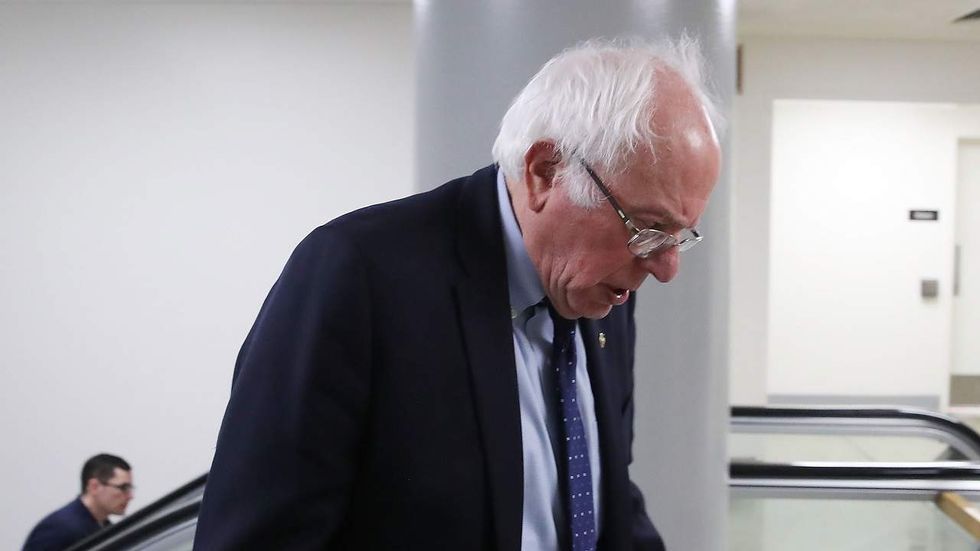 Mike Opelka blasts 'barking' Bernie Sanders for his 'hypocrisy' with ...