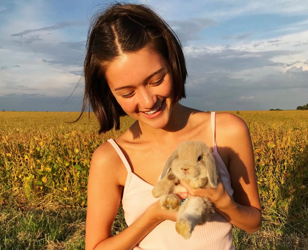 Things to know about bunnies