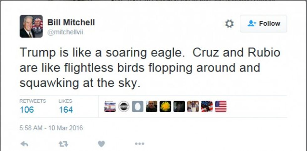 Have You Seen These Outrageous Election Tweets? - TheBlaze