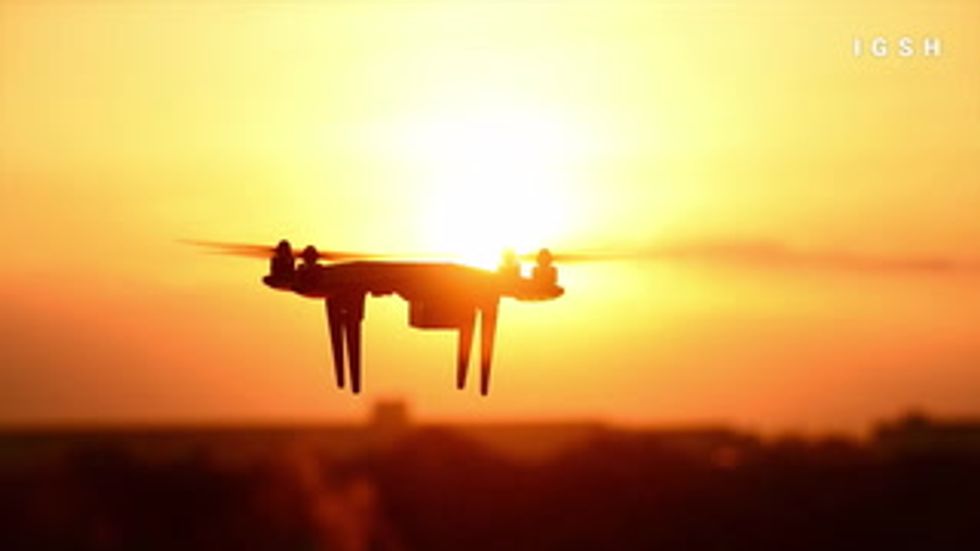 The original drones - How pigeons pioneered aerial photography - TheBlaze