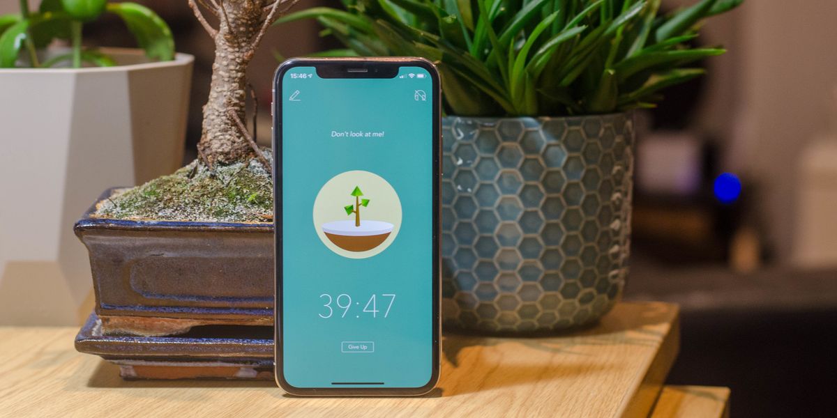 Forest smartphone app helped me concentrate by growing trees - Gearbrain