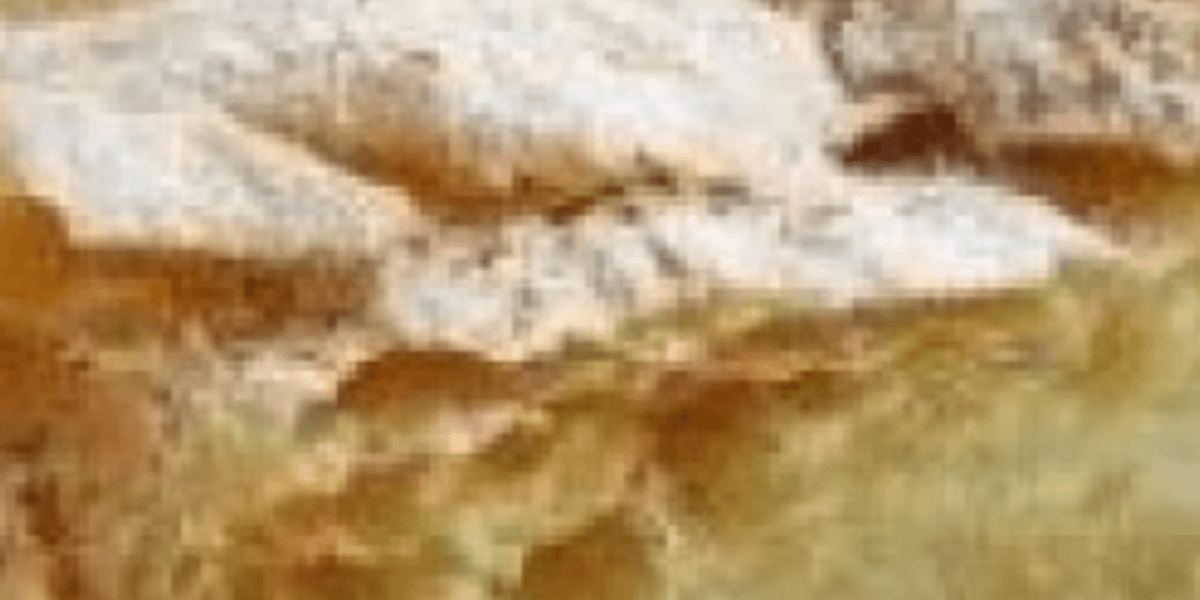 Greek Bougatsa - My Recipe Magic