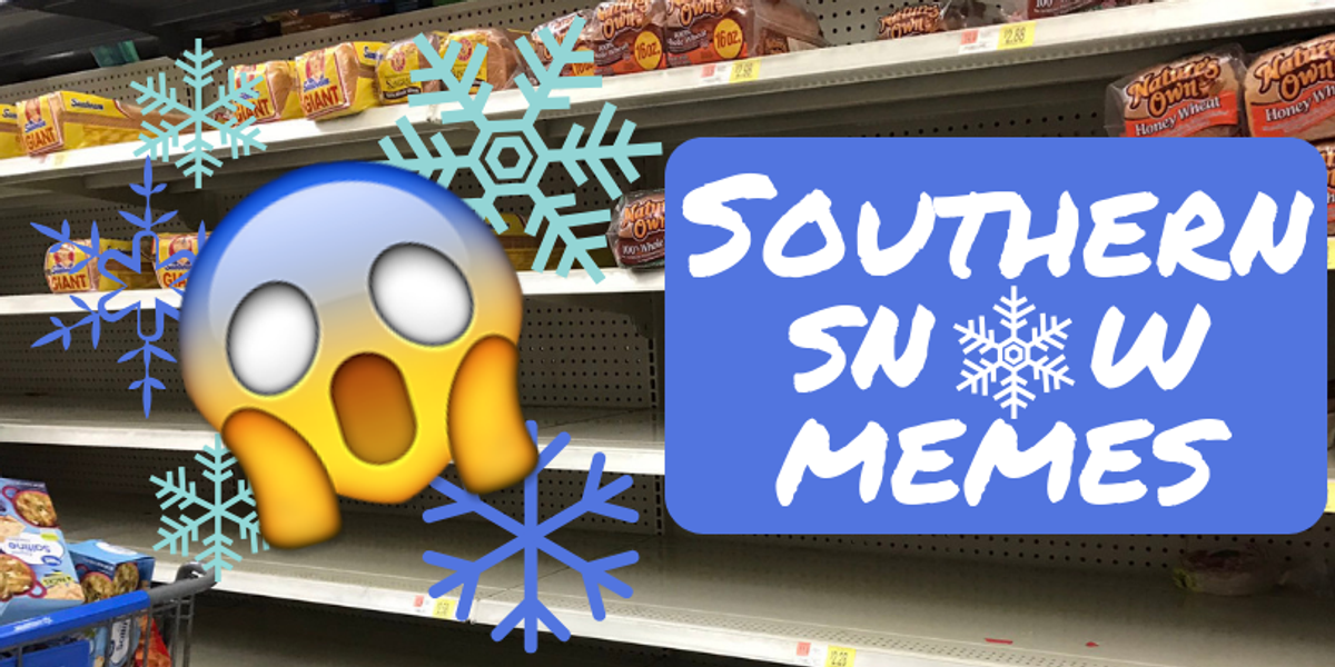 21 memes that perfectly capture the hysteria of snow in the South - It ...