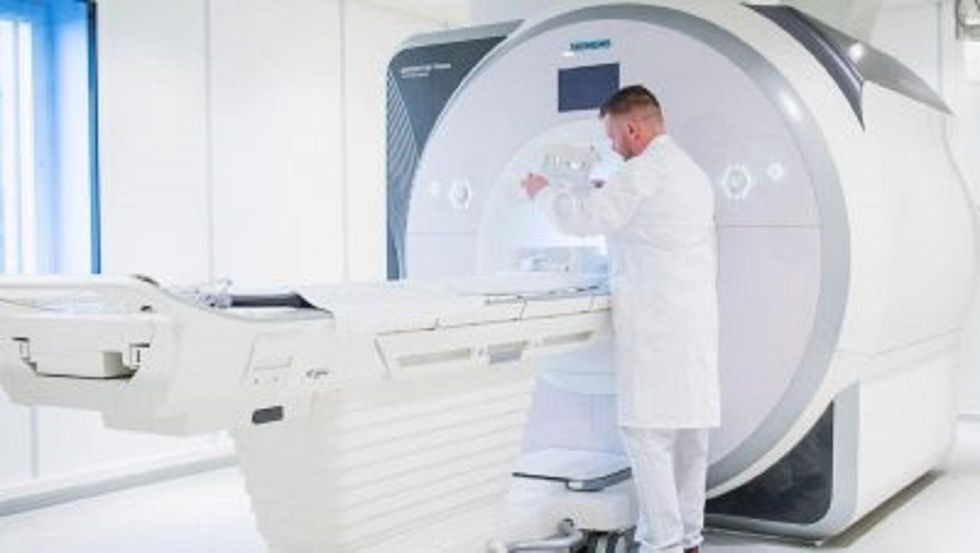 Transgender brain structure differs from those without gender dysphoria ...