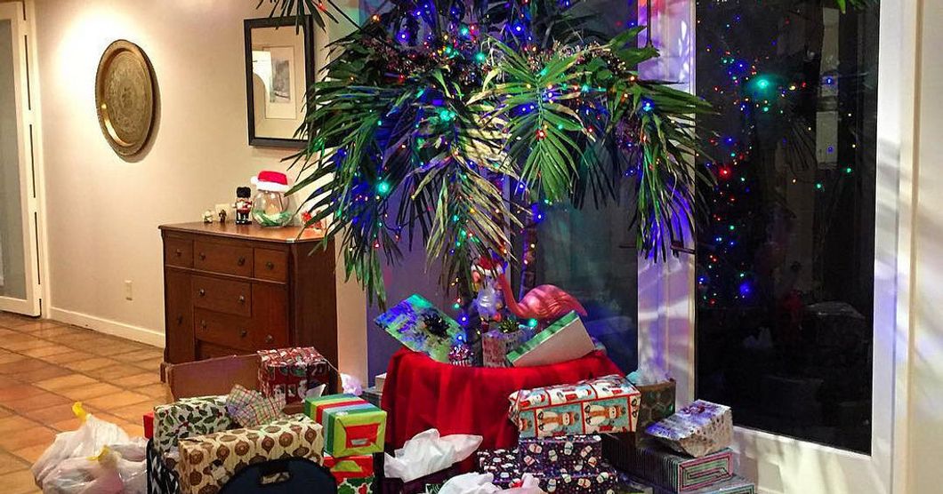 Cool Ways To Make Florida Cooler This Winter