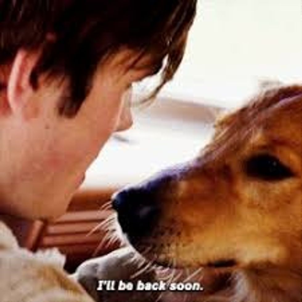 The Best Sad Movies When You Want A Good Cry