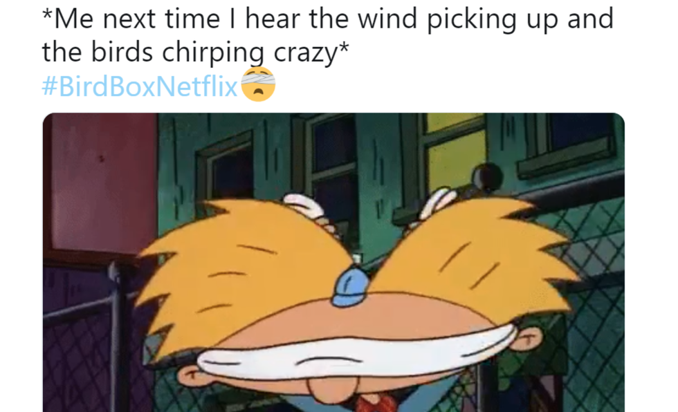 23 Hilarious 'Bird Box' Memes Thanks To The Internet