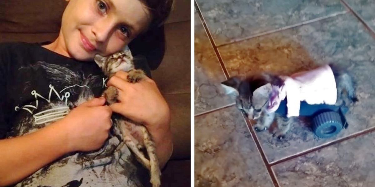 Boy Meets Tiny Kitten Who Can't Walk, and Decides to Turn Her Life ...