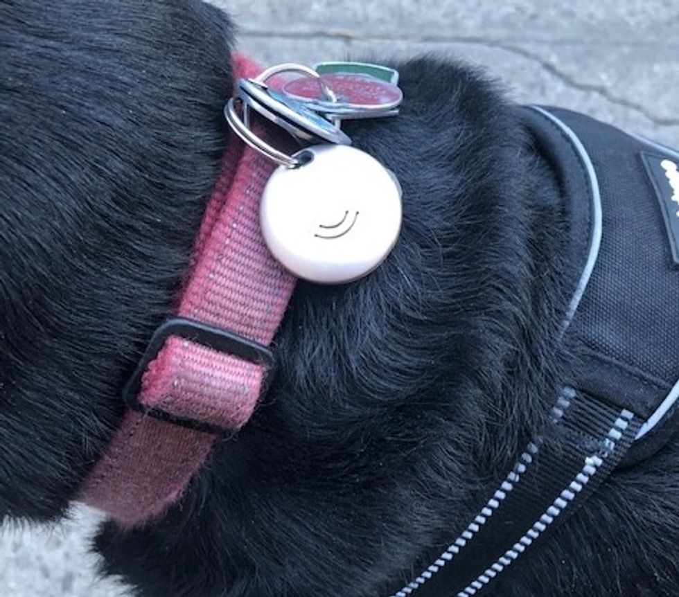 Orbit Tracker Review: You don't know you need it until you do - Gearbrain