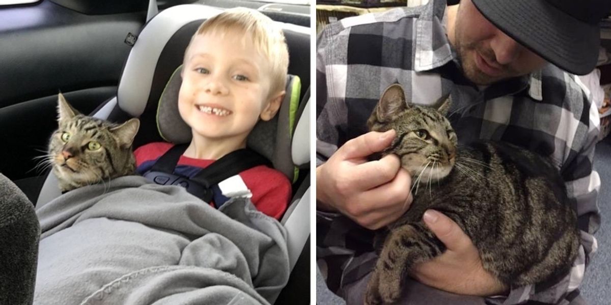 Boy Wrote to Santa About His Lost Cats and Received the Best Gift Ever ...