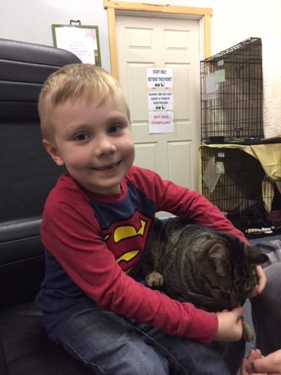 Boy Wrote to Santa About His Lost Cats and Received the Best Gift Ever ...