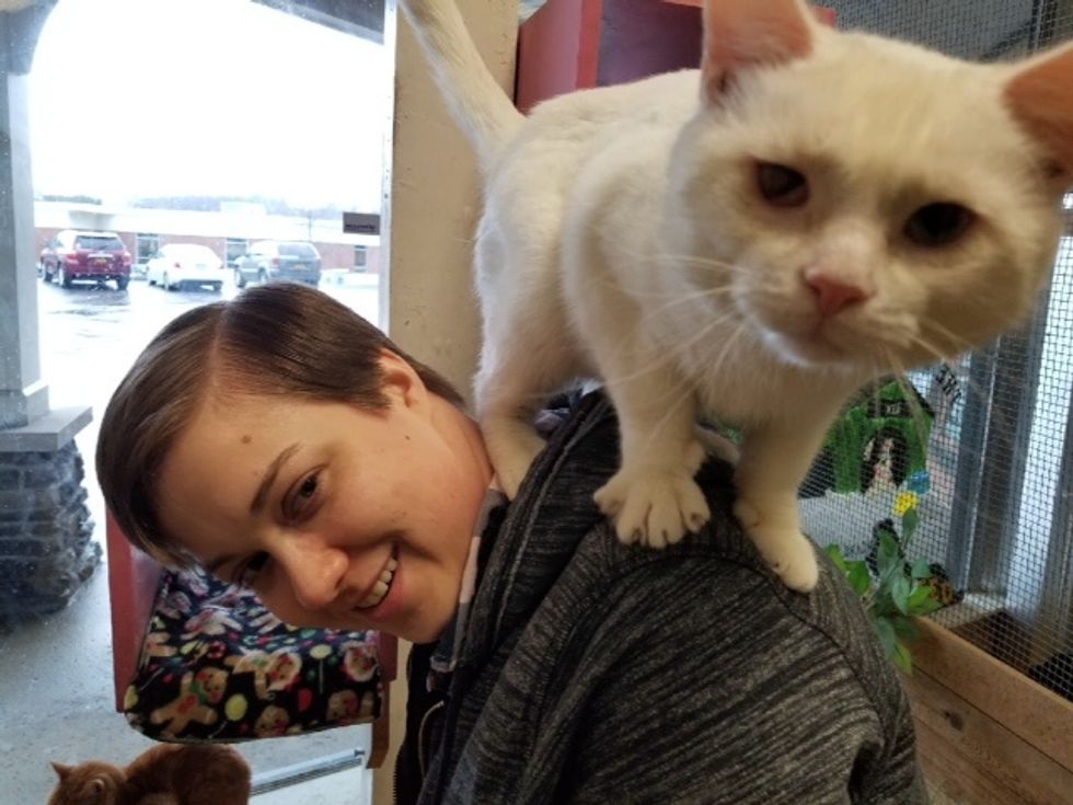 Couple Went to See Cats and Kittens But Ended Up Being Chosen by This ...