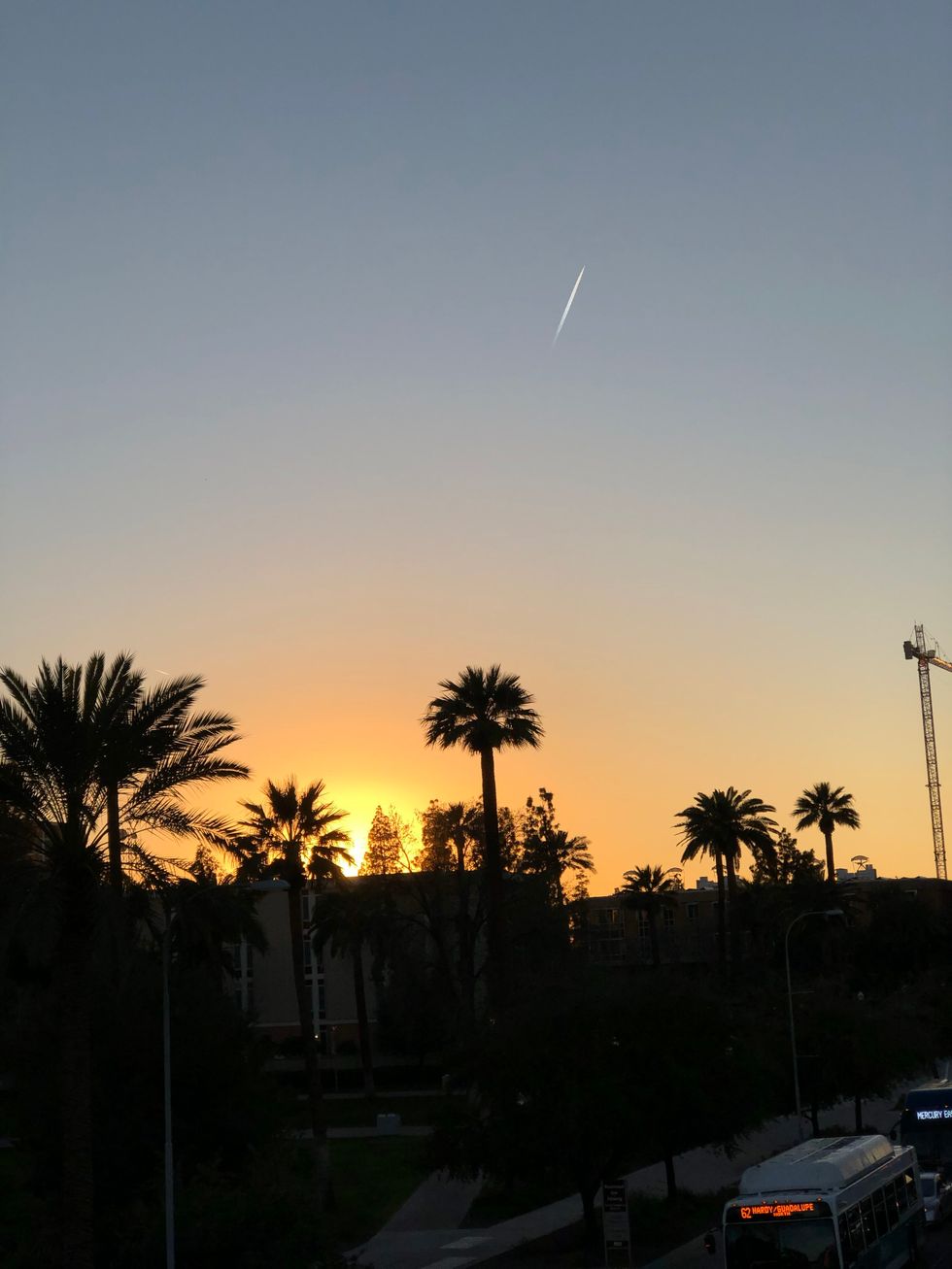 My Sun Devil Story