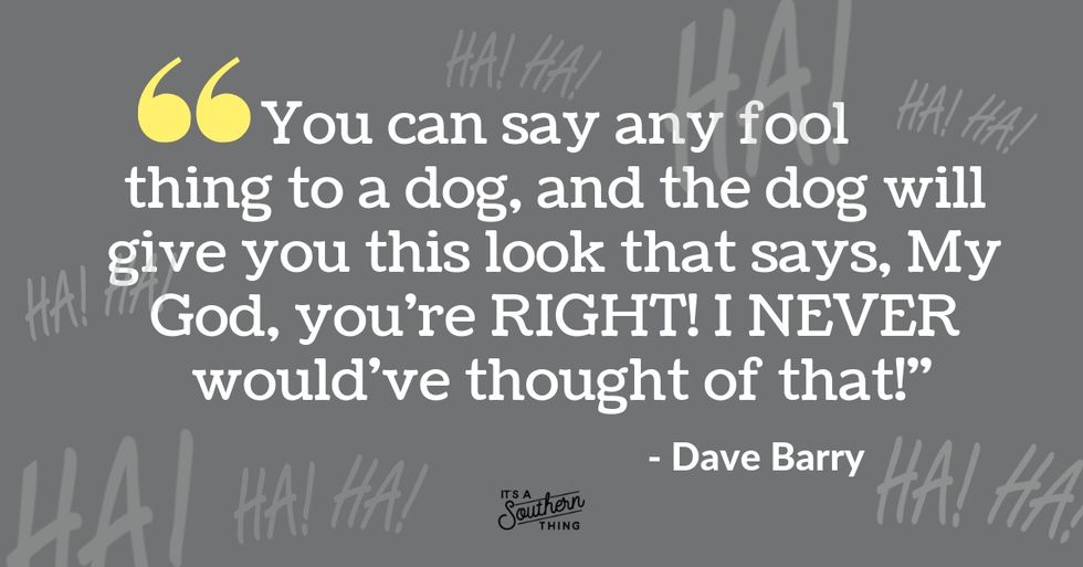 25 Dave Barry quotes that will make milk shoot from your nose - It's a ...