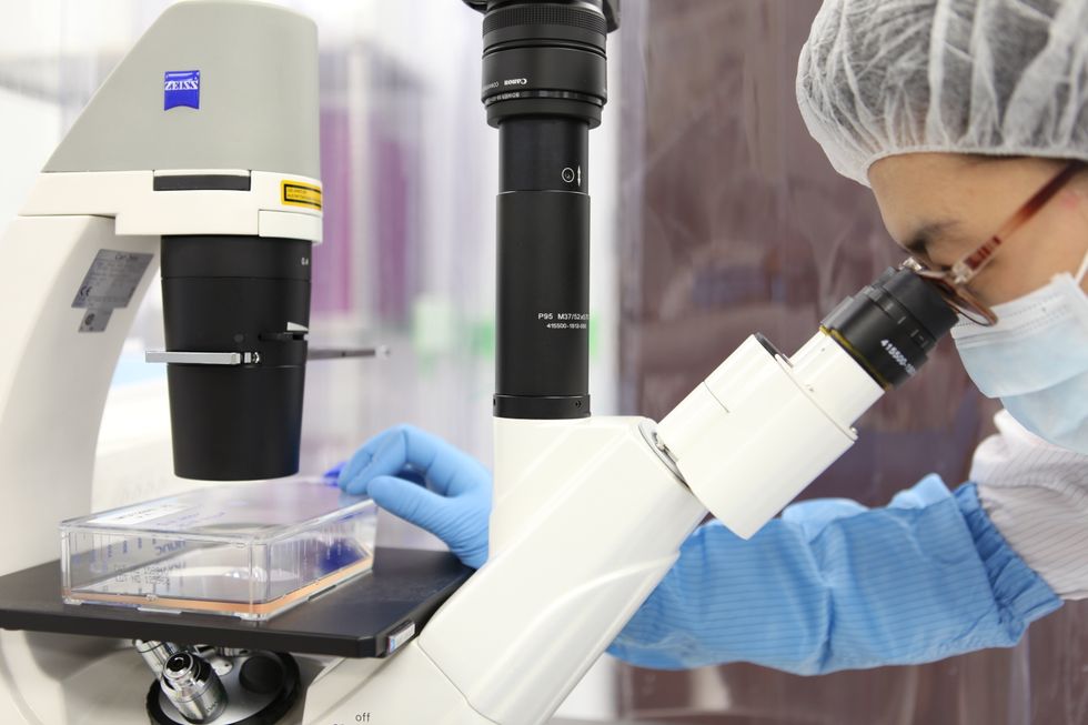 Houston company uses stem cell technology to treat patients suffering ...