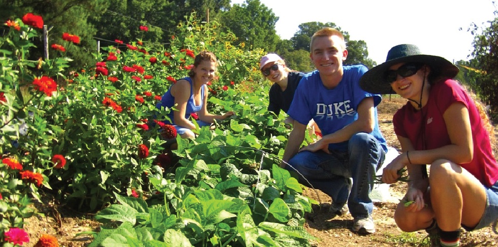 15 Adventurous Summer Jobs