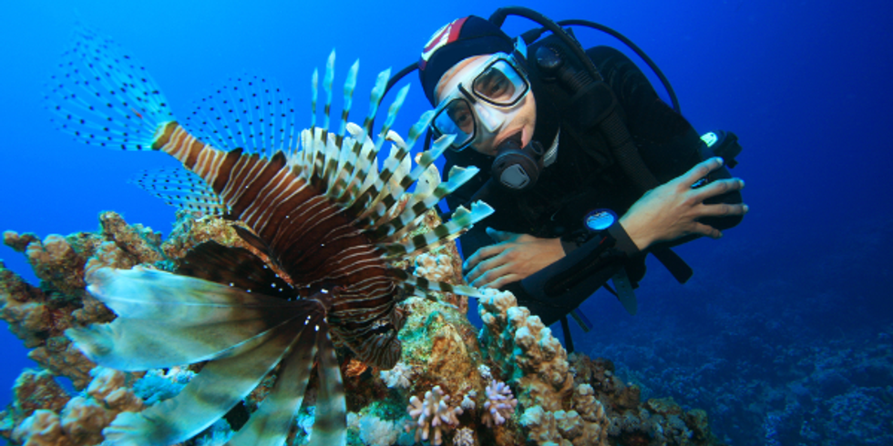 Learn The Career Path Of A Marine Biologist Work It Daily Where learn-the-career-path-of-a-marine-biologist-work-it-daily-where