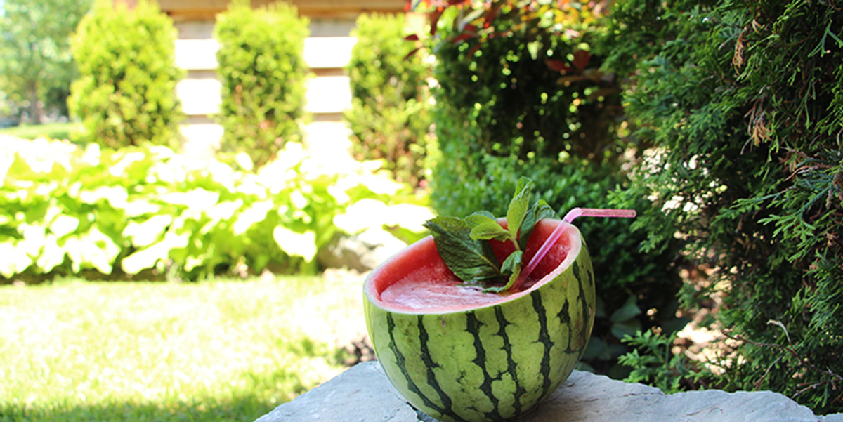 Coconut Watermelon Sensation - My Recipe Magic