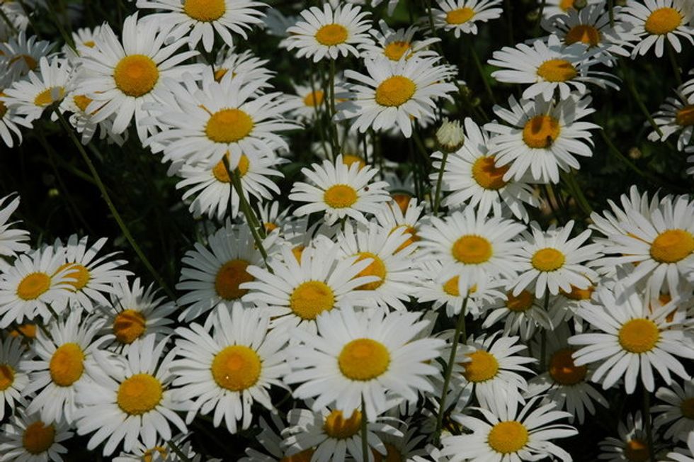 10 Things To Look Forward To In April