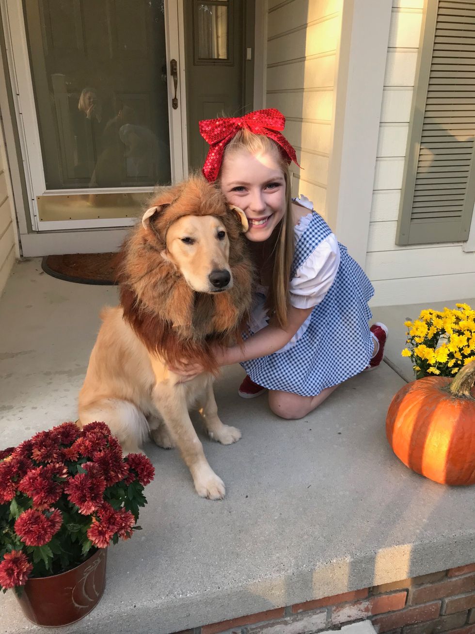 14 Reasons College Students Need A Dog