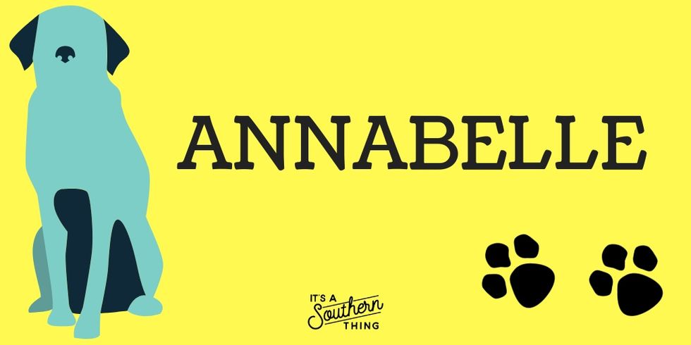 30 Southern dog names we love - It's a Southern Thing