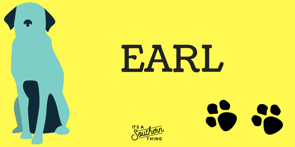 30 Southern dog names we love - It's a Southern Thing