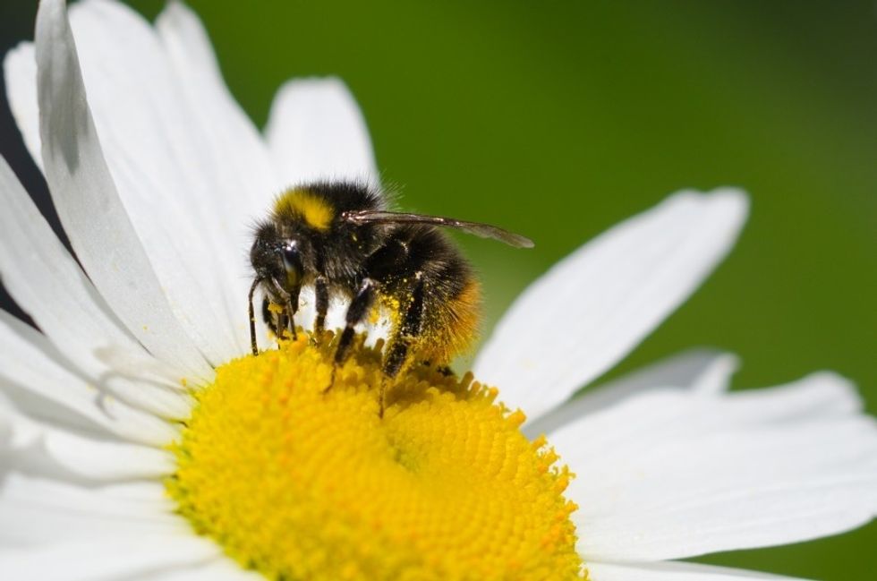 5 Ways Pollen Is Sneaking Inside