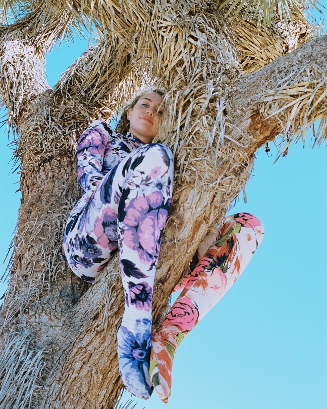 Miley Cyrus Instagram Backlash Climbing Rare Joshua Tree - PAPER Magazine
