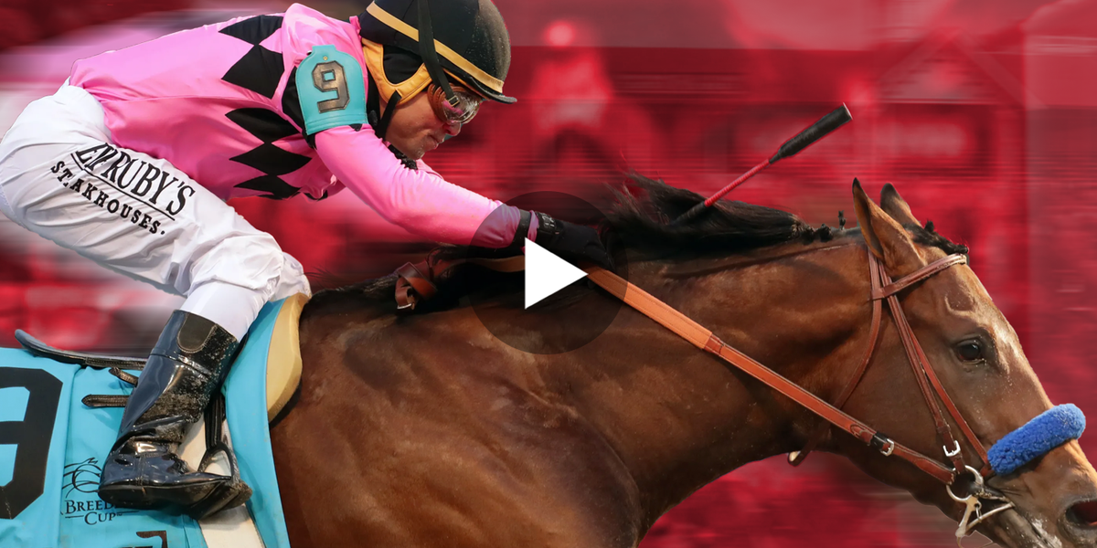 Want to impress friends with your Kentucky Derby knowledge? Here are ...