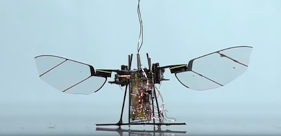 6 robot that mimic animals in how they move, walk and behave - Gearbrain
